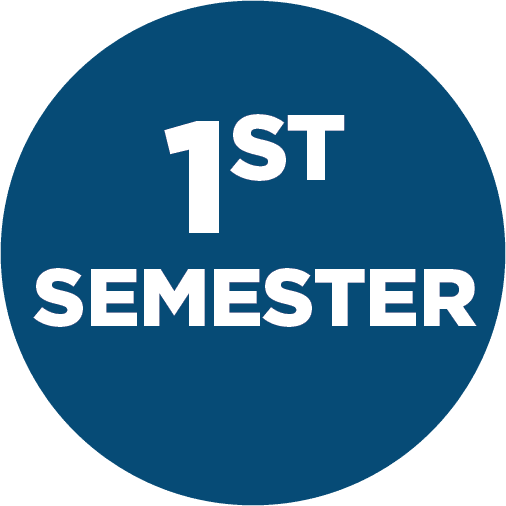 Gap Year Programs That Transform Your Academic Journey | ILAC