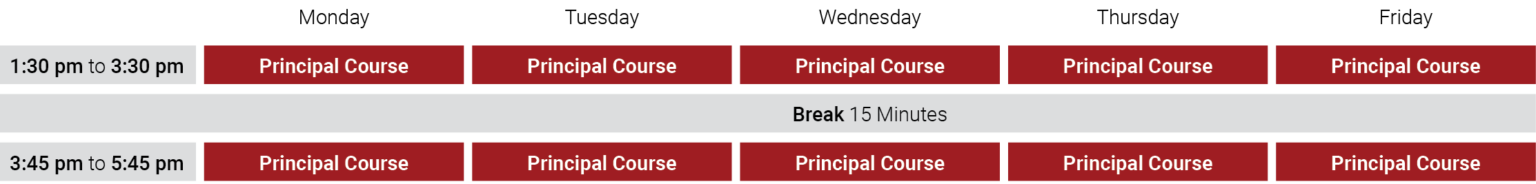 Elevate Your Vacation with Educational Spring Programs | ILAC