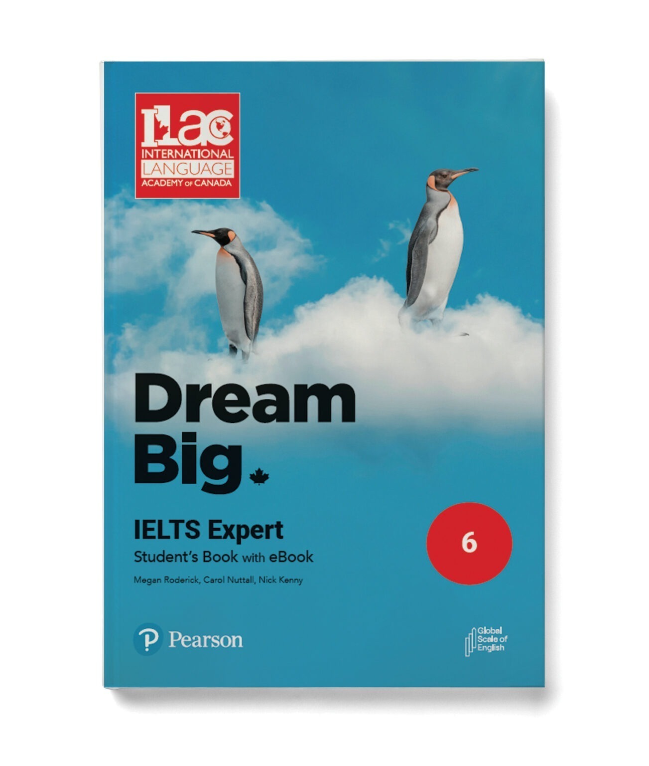 IELTS Exam Preparation Course Level 6-17 | ILAC