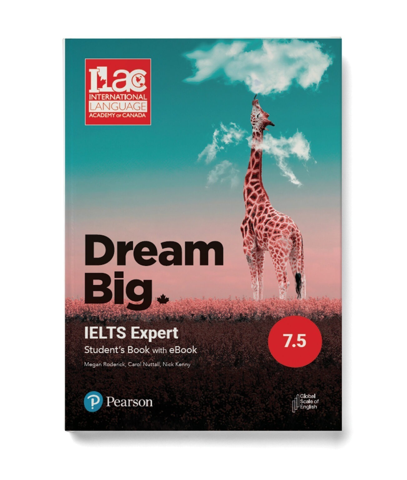 IELTS Exam Preparation Course Level 6-17 | ILAC