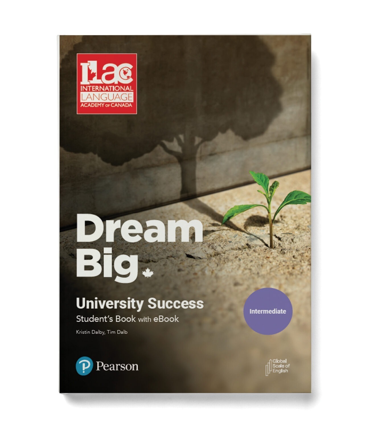 University Pathway Program to Elevate Your Future | ILAC