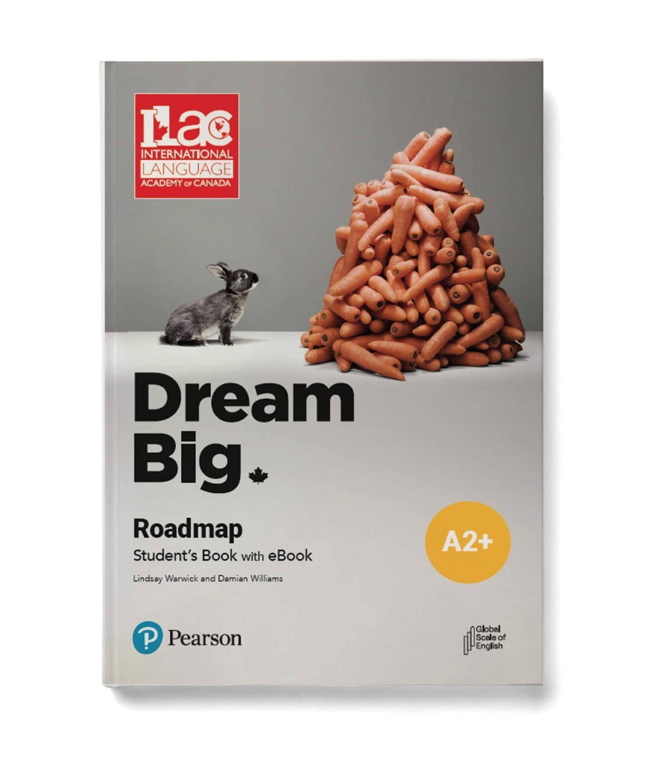 Transformative General English Programs for Adults | ILAC