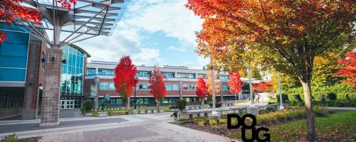 GAP Academic Programs | ILAC